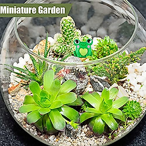 16 Pieces Cute Frog and Lotus Miniature Figurines Resin Frog Stuff Mini Garden Ornament Animal Model Garden Miniature Moss Landscape DIY Craft Accessories Frog Party Decoration Home Supplies Plant Pot