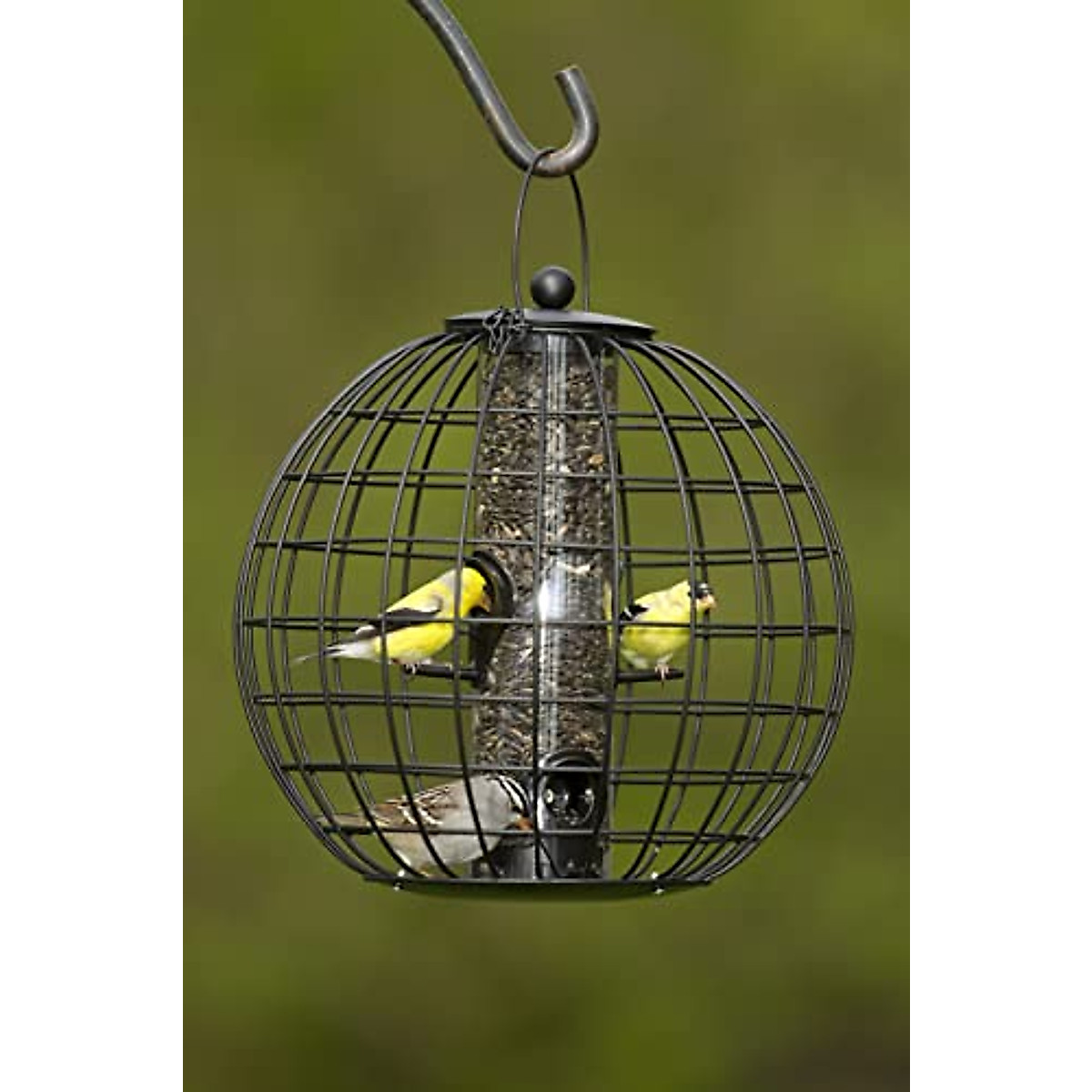 Gardeners Supply Company Globe Cage Bird Feeder | Sturdy and Squirrel Proof Outdoor Garden Hanging Hummingbird Feeder with Mixed Seeds Container | Best for Finches Nuthatches and Other Small Birds