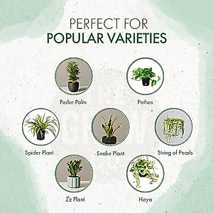 Indoor Plant Food - All-Purpose Fertilizer (Liquid Alternative) - Best for Houseplants Indoors + Common Home Outdoor Plants in Pots (5 oz)