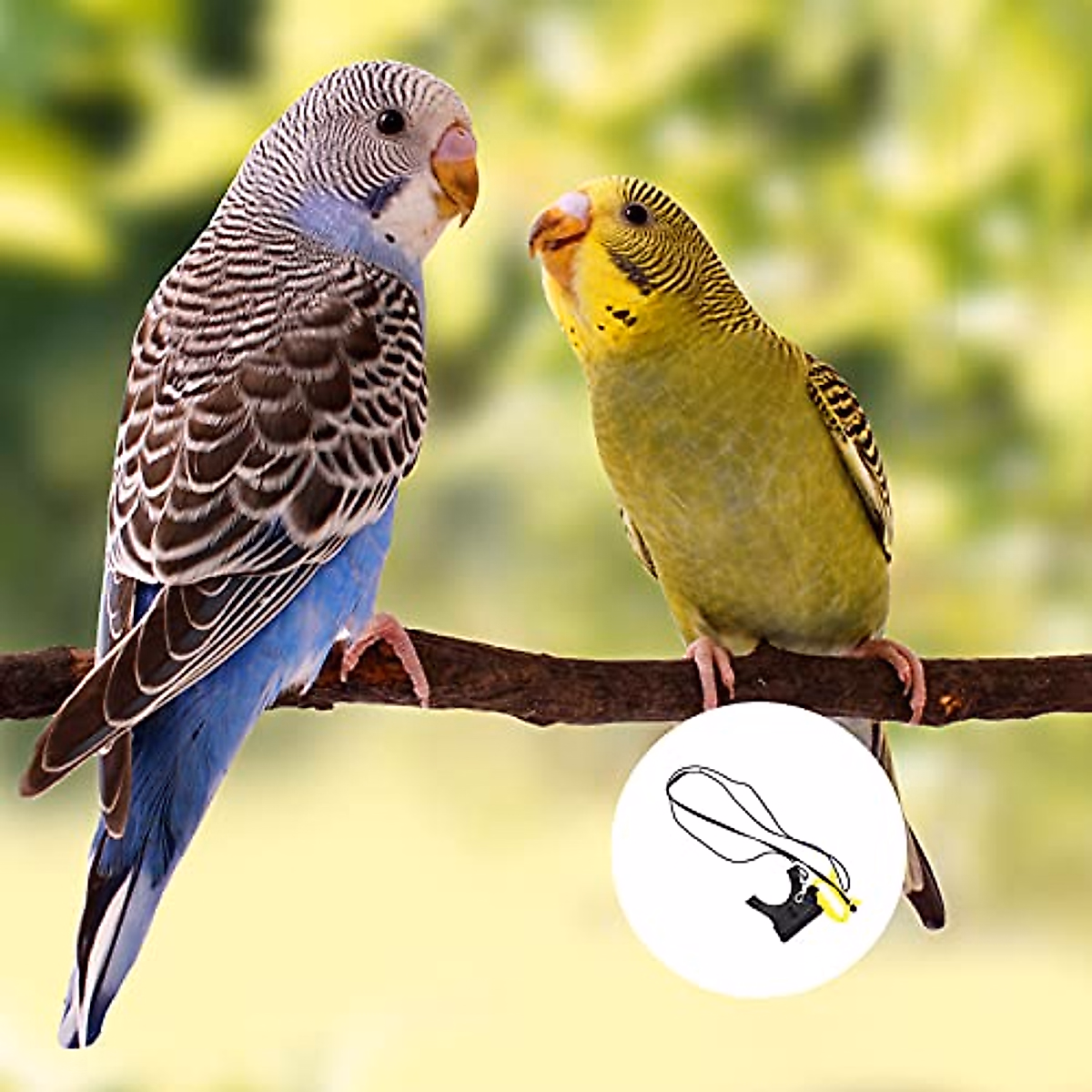 STOBOK Parrot Bird Harness Leash Adjustable Bird Flying Harness Traction Rope for Parrots Pigeons Budgerigar Lovebird Cockatiel Mynah Outdoor