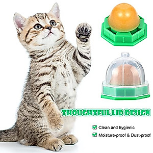 Tinideya 12 Pieces Cat Snacks Candy Ball Cat Licking Sugar Energy Ball Edible Catnip Balls Toy Kitten Sweet Ball Solid Candy for Cat Kitten (Green, Blue)