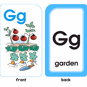 School Zone - Alphabet Fun Flash Cards - Ages 4 to 6, Preschool to Kindergarten, ABCs, Uppercase and Lowercase Letters, Spelling, and More