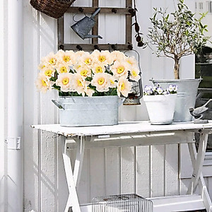 XHXSTORE 8 Pcs Artificial Flowers Faux Poppy Flowers Champagne Real Touch Flowers Stems Silk Floral Arrangement for Home Inddor Garden Party Table Centerpieces Wedding Decor (19.68 Inch)