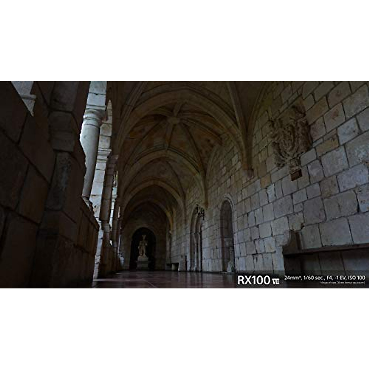 Sony RX100 VII Premium Compact Camera with 1.0-type stacked CMOS sensor (DSCRX100M7)