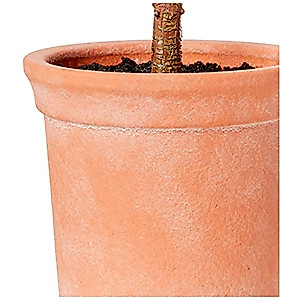 Amazon Brand - Stone & Beam Artificial Olive Tree Topiary with Faux Terracotta Pot, 2.4 Feet (28.8 Inches), Indoor