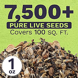 Sweet Yards Seed Co. Drought Tolerant Wildflowers Mix – Extra Large Packet – Over 7,500 Open Pollinated Non-GMO Seeds – 21 Different Dryland Species!