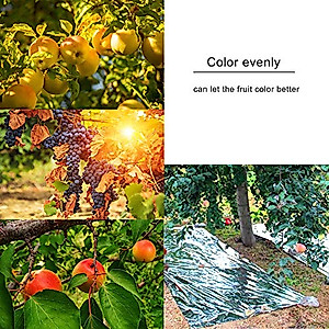 winemana 6 Pack Large High Silver Reflective Mylar Film, 83x 63 in, High Reflectivity, Keep Warm, 100% Environmentally Safe, Perfect for Plant Growth, First Aid, Marathon, Camping, Outdoor Survival