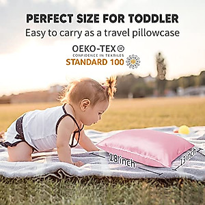 OLESILK 100% Mulberry Silk Toddler Pillowcase for Hair and Skin, Both Sides 19 Momme Pure Natural Silk Travel Pillow Cases with Hidden Zipper, 13"x 18", Pink
