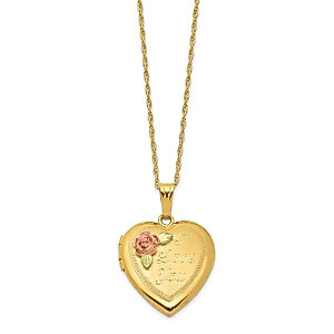 IceCarats 10K Yellow Gold Chain Necklace Black Hills Personalized Photo Locket