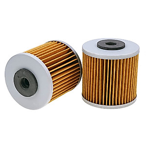JEENDA X2 Transmission Filters Includes o-ring Compatible with Hydro Gear 71943 Ferris 5101987X2 5101987X2YP Scag HG71943 Bad Boy 063-1070-00 Gravely 21548300 ZT-5400 (2)