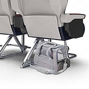 Prodigen Pet Carrier Airline Approved Pet Carrier Dog Carriers for Small Dogs, Cat Carriers for Medium Cat Small Cat, Small Pet Carrier Small Dog Carrier Airline Approved Cat Pet Travel Carrier