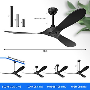 alescu Outdoor Ceiling Fan 60" with Remote Control,Modern Reversible DC Motor for Patio Bedroom Living Room Outdoor Ceiling Fans Black