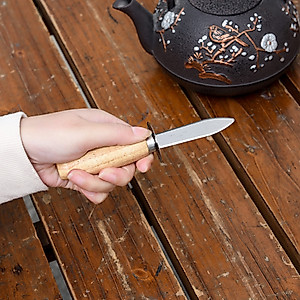 MGTECH 10 Pcs Oyster Shucking Knives, Bulk Oyster Shucker Clam Opener