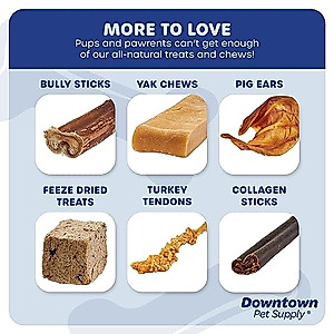 Downtown Pet Supply 6 inch 10 Pack of Bully Sticks for Medium Dogs & Large Dogs, Single Ingredient, Rawhide-Free Long Lasting Bully Sticks for Medium Dogs- No Hide Bullsticks for Bully Stick Holder