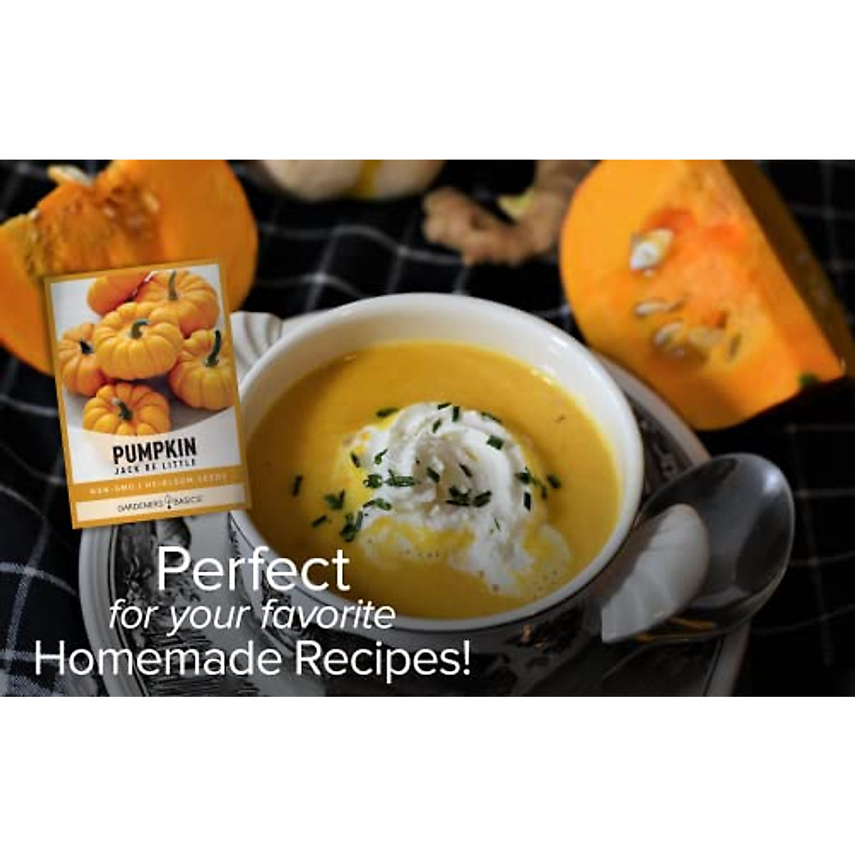 Mini Pumpkin Seeds for Planting (Jack Be Little) Small Heirloom, Non-GMO Vegetable Variety-5 Grams Seeds Great for Summer Pumpkin Gardens by Gardeners Basics