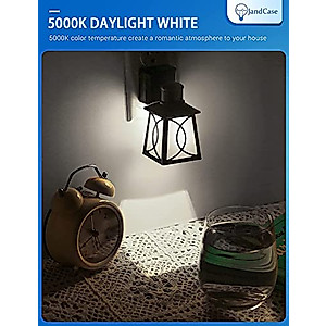 JandCase Night Light Plug- in, Dimmable Dusk-to-Dawn Sensor LED Night Light, 5000K Daylight White, 1W Indoor Decorations Retro Style, Nightlight for Kids Room, Nursery, Stairs, 6Pack