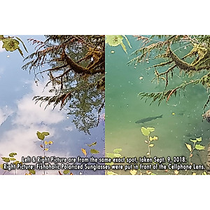 Fishoholic Polarized Fishing Sunglasses (8 Color Options) - Free Hard Case & Pouch - UV400 - Great Fishing Gift for Dad Son (GB-BLU)