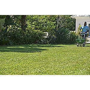 Scotts Turf Builder Southern Lawn Food, 14.05 lbs.