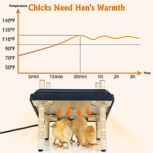 Pitalok Brooder Heater for Chicks: Chick Brooder Heating Plate with Easy- Cleaning Plate Poultry Coop Heater Chicks Warmer 10" x 10" for 15 Chicks Adjustable Height Brooding Heater 15 Watts