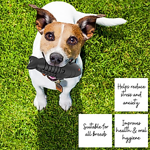 Dog Toys, Squeaky Dog Chew Toy - Tough & Durable Natural Rubber Dog Toy & Toothbrush for Pet Dental Care & Healthy Gums