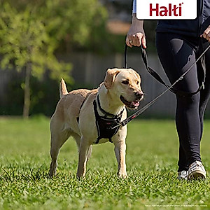 HALTI No Pull Harness Size Medium, Bestselling Professional Dog Harness to Stop Pulling on The Lead, Easy to Use, Anti-Pull Training Aid, Adjustable, Reflective and Breathable, for Medium Dogs Black