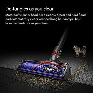 Dyson Cyclone V10 Animal Cordless Vacuum Cleaner