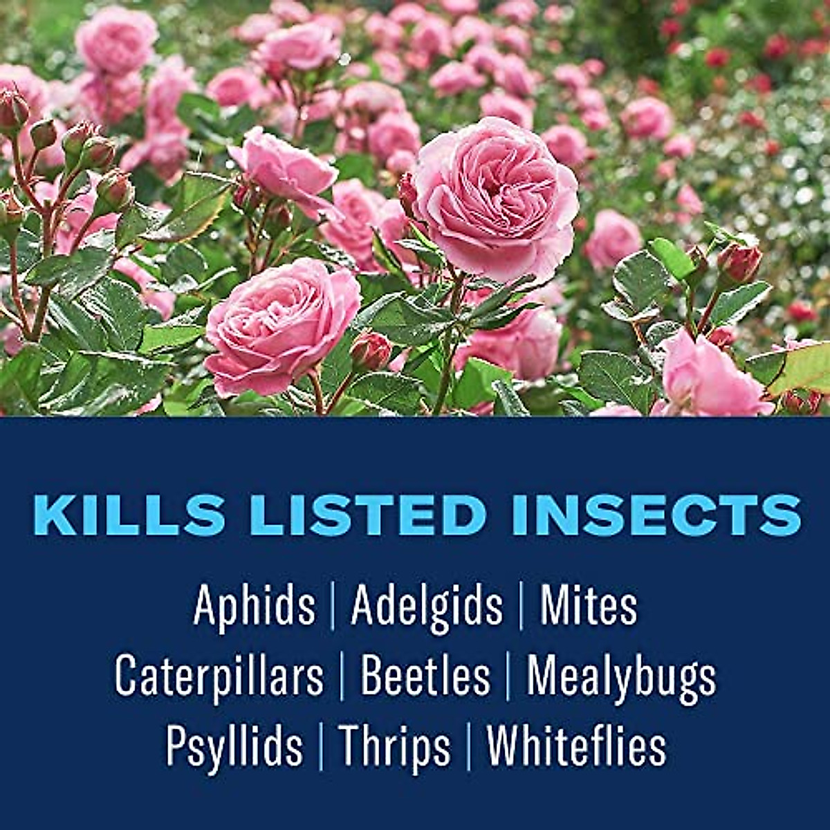 BioAdvanced All-In-One Rose & Flower Spray, Ready-to-Spray, 32 oz