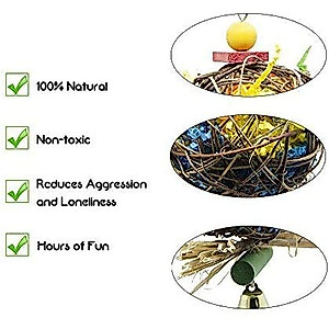 SONYANG 2 Pack Bird chew Toys Parrot Bird Foraging Toys Parrot Cage Foraging Shredder Toy for Bird Parrot African Greys Budgie Cockatiel Parakeet Lovebird Cage Toy