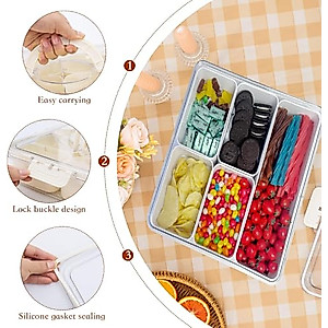 Extra Large Fruit Storage Containers for Fridge,Divided Serving Tray with Lid and Handle,Snackle Box Charcuterie Container for Portable Snack Platters,Clear Organizer for Party,Entertaining,Fruit,Nuts