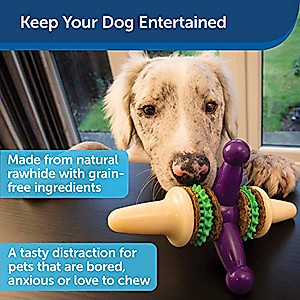 PetSafe Busy Buddy Jack Medium