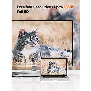 CableCreation HDMI to DVI Short Cable 0.5ft, Bi-Directional DVI-I (24+5) Female to HDMI Male Adapter 1080P DVI to HDMI Converter Compatible with Xbox, PC, TV Box, PS5, Blue-ray, Switch