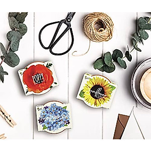 Buzzy® Terracotta Mini Grow Pots | Assorted 6-Pack | Daydream Collection | Sunflower, Daisy, Poppy, Cactus, Forget-Me-Not | Best Gardening Gifts and Favors | Growth Guaranteed