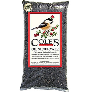 Cole's OS08 Black Oil Sunflower Bird Seed, 8-Pound