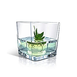 BLOOMIFY Miniature Orchid Terrarium, Open Pot Design, Maintenance Free, 3" Glass Votive