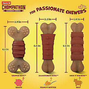 Hartz New Chompathon Gripper Bone Dog Chew Toy for Aggressive Chewers, Double Layered Flavored with Chicken & Bacon