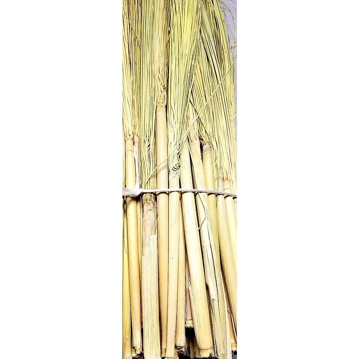 Craft Broom Corn with Stalks 24-36" Length…