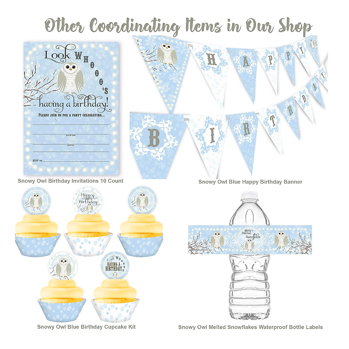 POP parties Snowy Owl Birthday Party Invitations - Blue - 10 Invitations 10 Envelopes