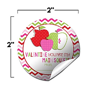 Main Squeeze Apple-Themed Valentine Party Favor Sticker Labels, 40 2" Party Circle Stickers by AmandaCreation, Great for Classroom Valentines, Envelope Seals, Gifts & Treats