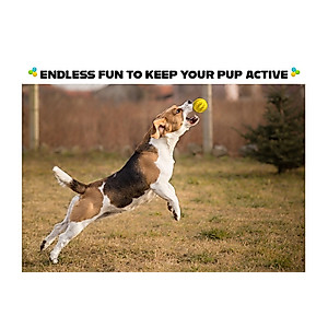 Stocking Stuffers For Dogs - Dog Chew Toys 3-Pack - Dog Teething Toy Treat Balls - Dental Cleaning Balls - Nontoxic Interactive Dog Toys - Dog Puzzle Toys (2.8in - Medium / Large Dog)