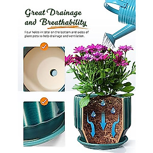 AISBUGUR Plant Pots 6 inch Ceramic Pots for Indoor Plants Set of 2 Flower Pots Unique Crackle Glaze Design Plant Pots with Drainage Hole and Saucer Come with Drainage Nets (Aqua Green)