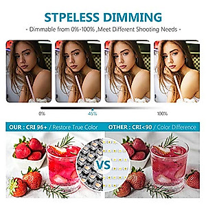 Neewer Upgraded 660 LED Video Light, Dimmable Bi-Color 3200K~5600K CRI 96+ LED Panel Light with LCD Screen, U-Mount Bracket and Barndoor for Studio Photography, YouTube Video Shooting (NL660S)