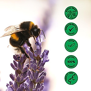 Heaven on Earth- 100% Natural and enriched with organic ingredients Diaper Rash Cream, Free of Phtalate, Paraben, Parfum, 100% Plant Based Diaper Rash Cream, 2,6 Oz