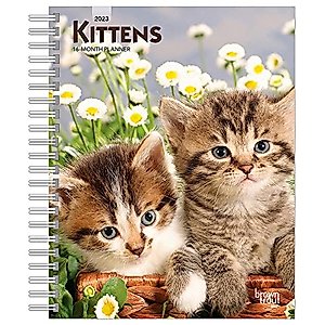 Kittens | 2023 6 x 7.75 Inch Spiral-Bound Wire-O Weekly Engagement Planner Calendar | New Full-Color Image Every Week | BrownTrout | Animals Cats Pets