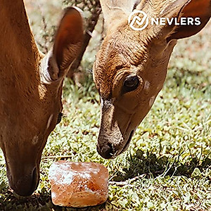 Nevlers 3 Pack Himalayan Salt Lick on Ropes for Animals - All Natural Pure Mineral Block - Himalayan Salt Block for Deer , Salt Block for Horses , Cows, and Other Livestock - 4.5-6 lbs Each