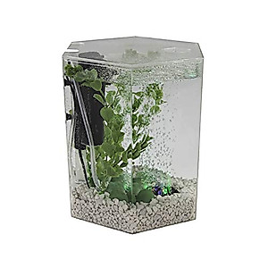 Tetra Bubbling LED Aquarium Kit 1 Gallon, Hexagon Shape, With Color-Changing Light Disc,Green (Packaging may vary)
