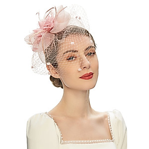 Cizoe Fascinator Hats for Women Tea Party Headband Kentucky Derby Wedding Flower Mesh Veil Fascinator (A-blush pink)