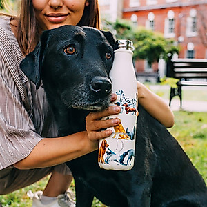 Chilly's Water Bottle | Stainless Steel and Reusable | Leak Proof, Sweat Free | Stainless Steel | 750ml