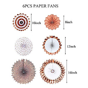 Hombae Retirement Party Decorations for Women, Happy Retirement Party Decorations, Rose Gold Happy Retirement Banner Paper Fans for Women Retirement Party Supplies