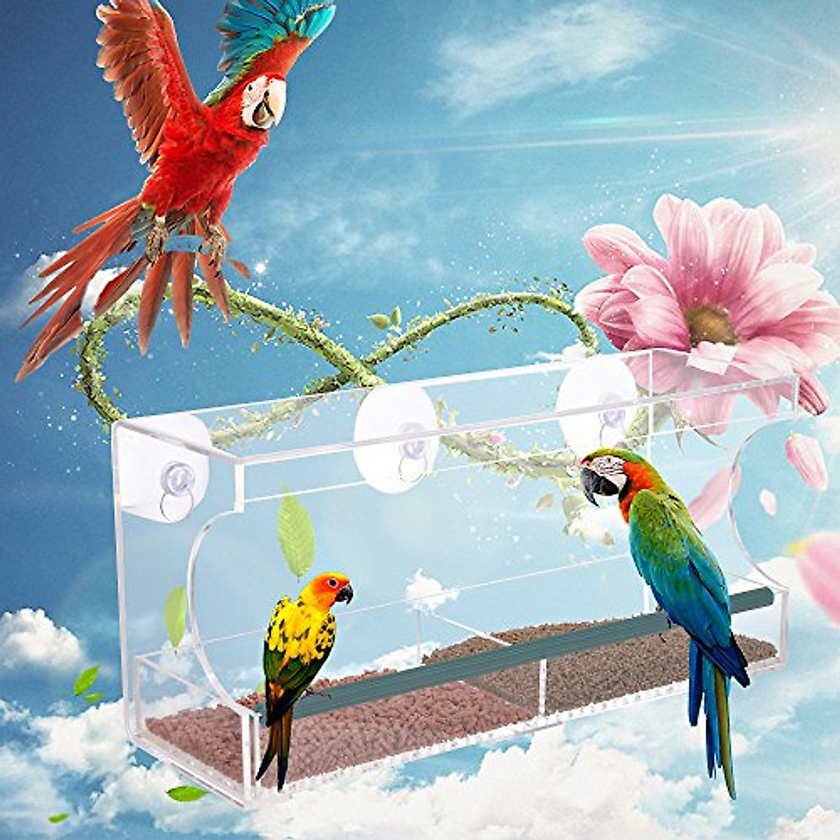 Ju&Ju Window Bird Feeder,Clear Acrylic with Removable Tray,Easy to Clean, Drain Holes and 3 Strong Suction Cups.Large Size, Weatherproof