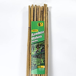 Jollybower 20pcs 5/8" D Thicker Heavy Duty Bamboo Stakes, 6FT Plant Stakes, Natural Garden Stakes for Tomato, Bean, Flowers,Trees Potted and Climbing Plant Support